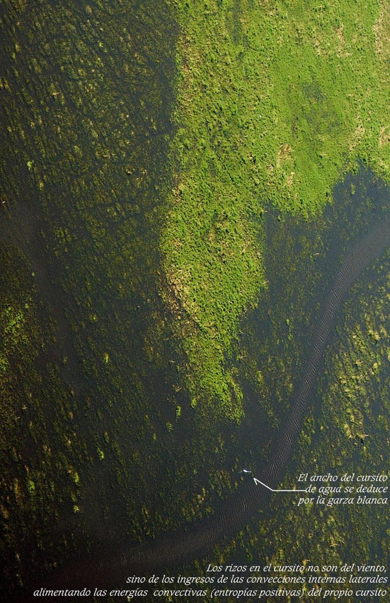 Flujo Laminar vs. Turbulento: Guía Completa